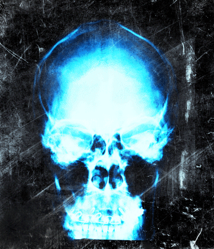 Genealogy GIFs - Get the best GIF on GIPHY