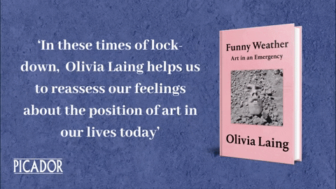 Funny Weather GIFs - Get the best GIF on GIPHY