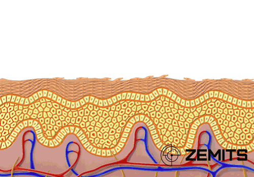 Oxygen Therapy GIFs - Get the best GIF on GIPHY