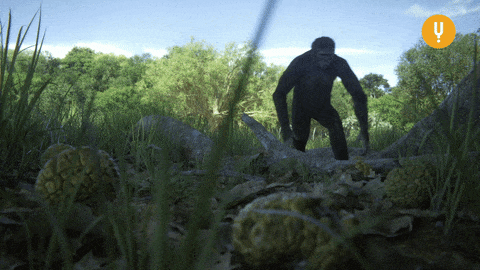 Gathering Food GIFs - Get the best GIF on GIPHY