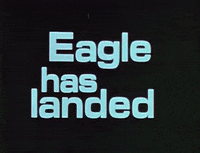 Eagle Landing Gif