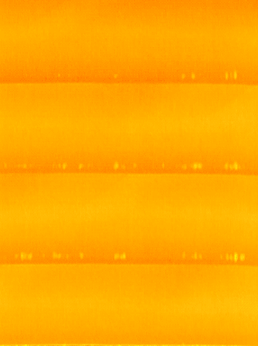 Glitch Undulating GIF by The Griffith Absurdatory - Find & Share on GIPHY