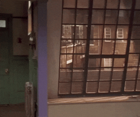 Monicas Apartment GIFs - Get the best GIF on GIPHY