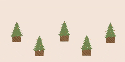 Treesgrowing GIFs - Get the best GIF on GIPHY