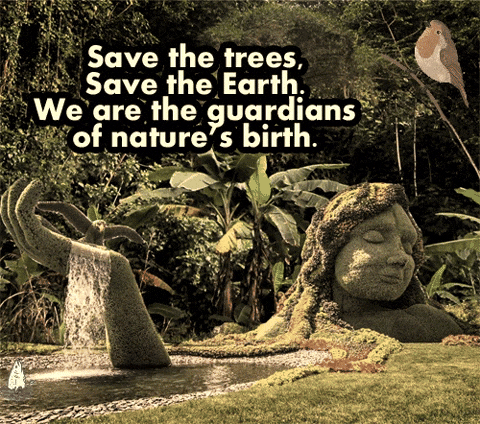 Soil-organic-carbon GIFs - Get the best GIF on GIPHY