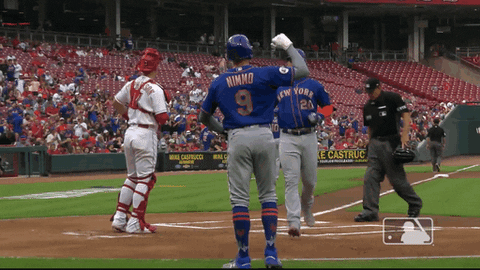 Celebrate Ny Mets GIF by New York Mets - Find & Share on GIPHY