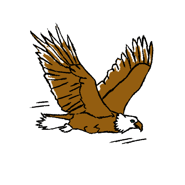 Eagle Flying Sticker by Team BP for iOS & Android | GIPHY