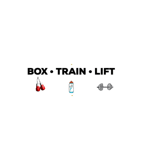 Boxing-training GIFs - Get the best GIF on GIPHY