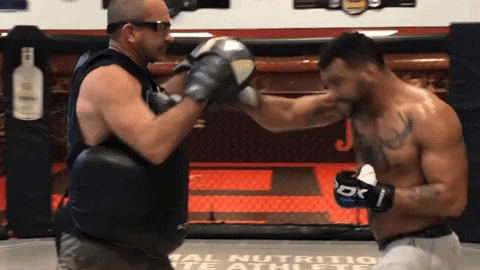 Ufcfighter GIFs - Get the best GIF on GIPHY