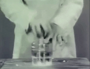 Vegematic GIFs - Get the best GIF on GIPHY