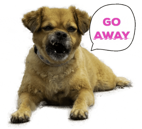 Go Away GIF - Find & Share on GIPHY