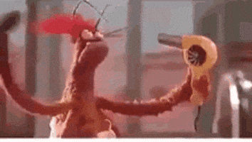 Hair Falling GIFs - Get the best GIF on GIPHY