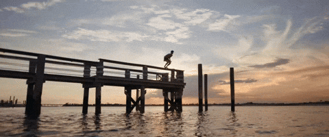 Summer Swimming GIF by MGM Studios - Find & Share on GIPHY