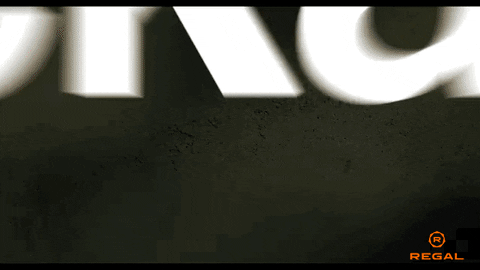 Jackass-number-2 GIFs - Get the best GIF on GIPHY