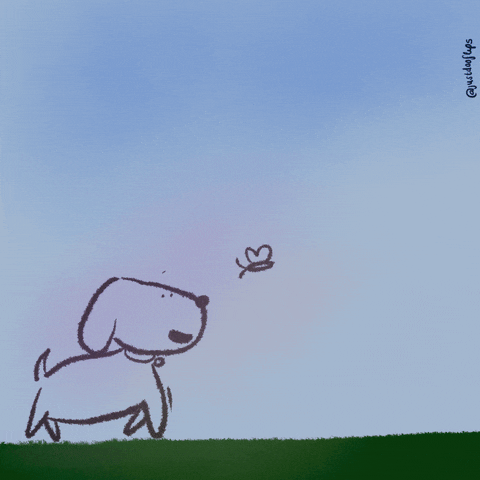 Happy Day Hello GIF - Find & Share on GIPHY