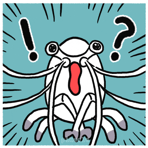 Freshwater Shrimp GIFs - Get the best GIF on GIPHY