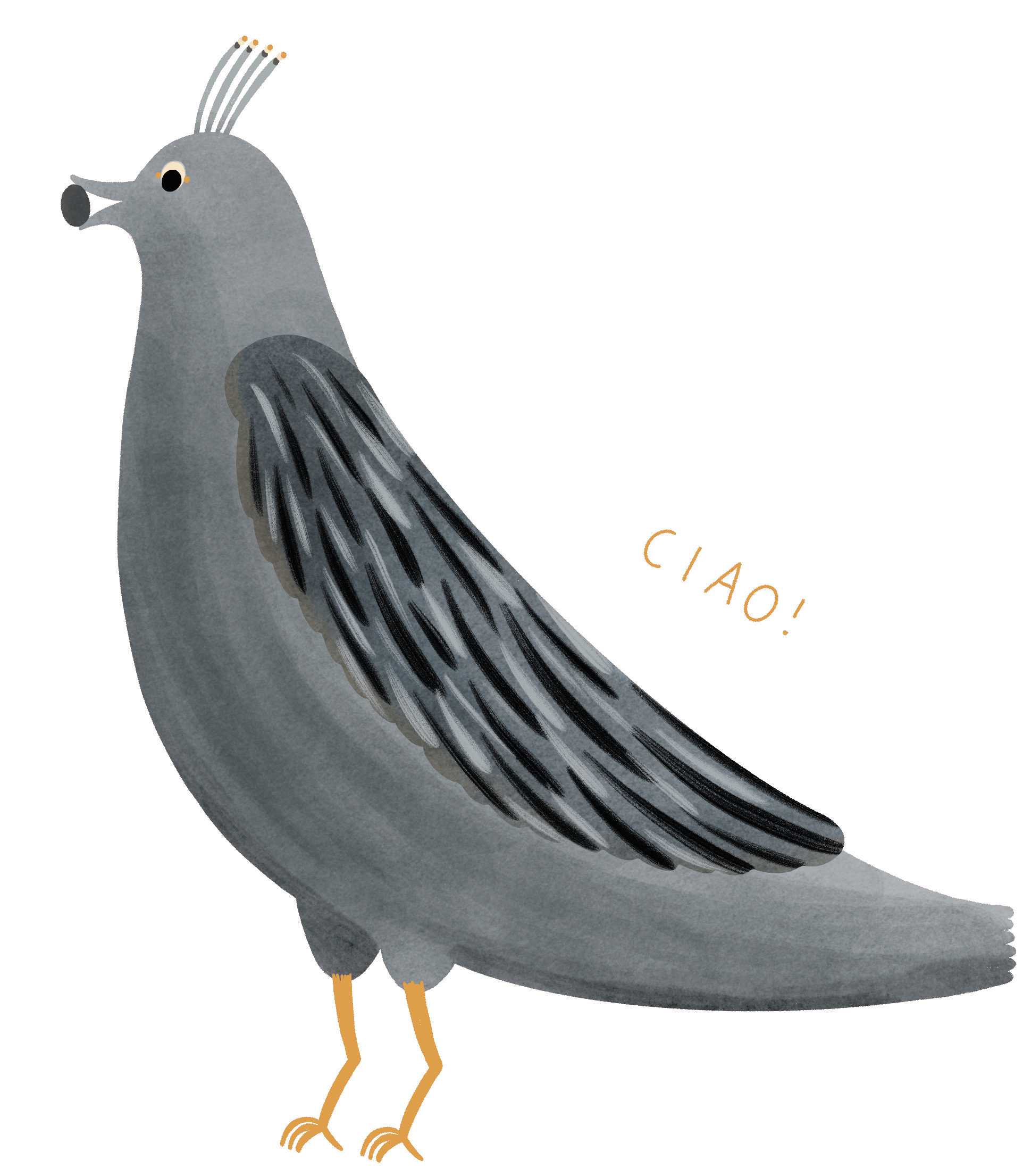 Bird Hello Sticker by Geo.ellen for iOS & Android | GIPHY