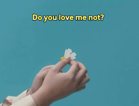 Flower Love GIF by Stephanie Poetri - Find & Share on GIPHY