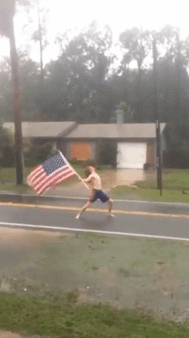 Hurricane-in-florida GIFs - Get the best GIF on GIPHY
