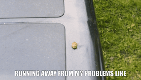 Problems Running Away GIF by InsectCop.net - Find & Share on GIPHY