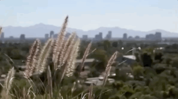 thepanozzoteam GIF - Find & Share on GIPHY