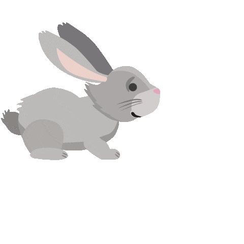 Rabbit Animated Gif