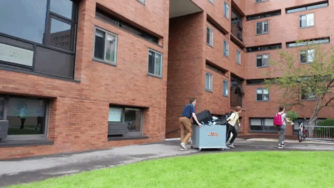 Rit Orientation GIFs - Get the best GIF on GIPHY