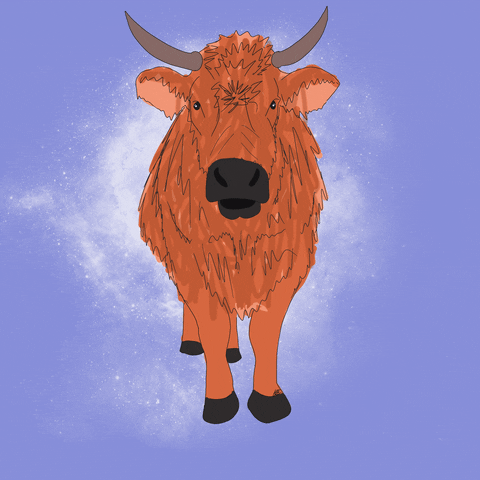 Party Cow GIF - Find & Share on GIPHY