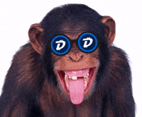 Laughing Monkey Gif