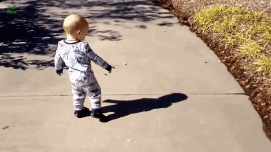 Shadows GIF - Find & Share on GIPHY