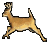 Deer Animated Clipart Gif
