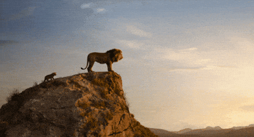 The Lion King Simba GIF by Walt Disney Studios - Find & Share on GIPHY