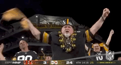 The-terrible-towel GIFs - Get the best GIF on GIPHY