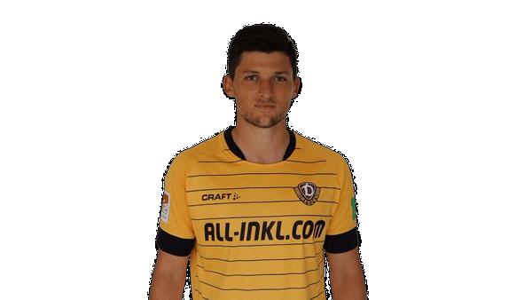 Bundesliga Celebrate Sticker by SG Dynamo Dresden for iOS & Android | GIPHY