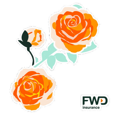 FWD Insurance GIFs on GIPHY - Be Animated