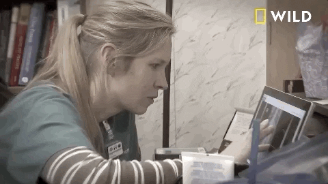 Problemsolving GIFs - Get the best GIF on GIPHY