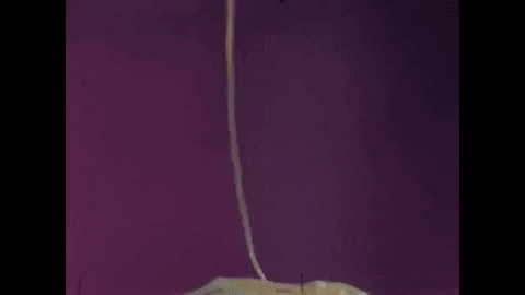 Fibers And Civilizations GIFs - Get the best GIF on GIPHY