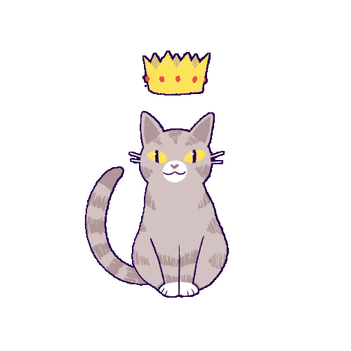 Cat Winner GIF by You Must Know Everything - Find & Share on GIPHY