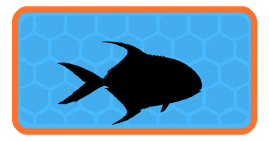 Vision Fly Fishing GIFs on GIPHY - Be Animated