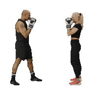 boxschmiede GIFs on GIPHY - Be Animated