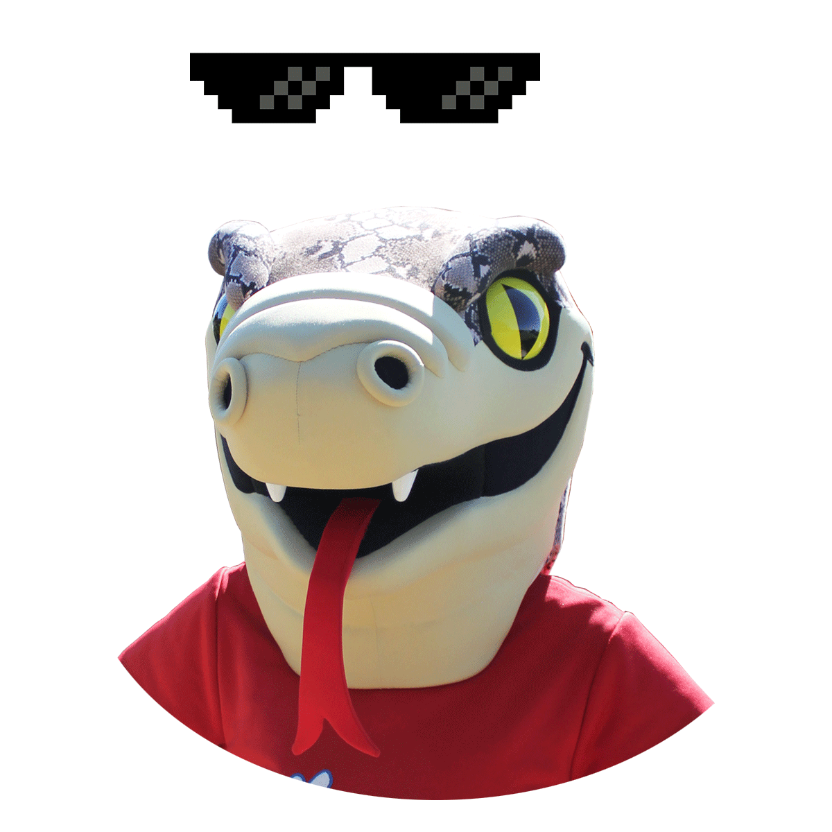 Fsc Gomocs Sticker by Florida Southern College for iOS & Android | GIPHY