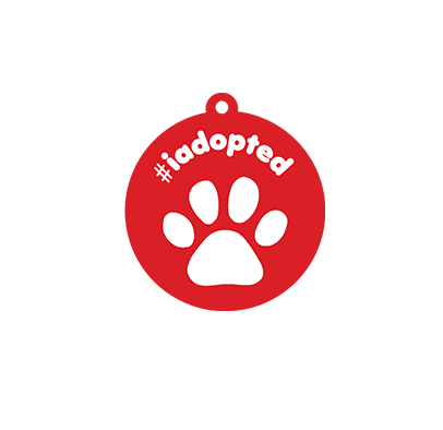 Cat Adopt Sticker by PetSmart Charities for iOS & Android | GIPHY