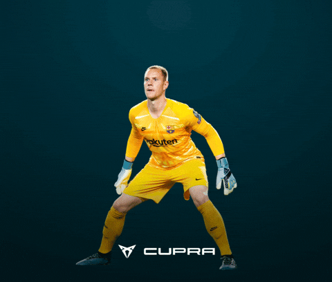 Saving Goal GIFs - Get the best GIF on GIPHY