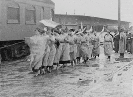 Voting Rights Women GIF by US National Archives - Find & Share on GIPHY