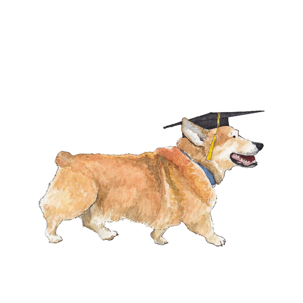 Dog Graduating Sticker for iOS & Android | GIPHY