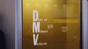 Happy Amazon GIF by Woot! - Find & Share on GIPHY