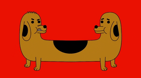 Vrai-ou-faux GIFs - Get the best GIF on GIPHY