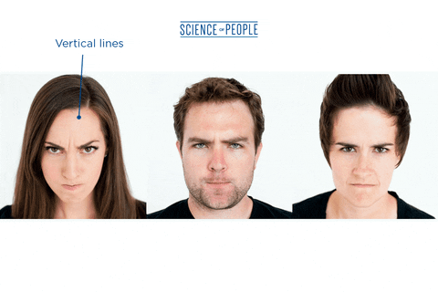 Facial Expressions GIFs - Get the best GIF on GIPHY