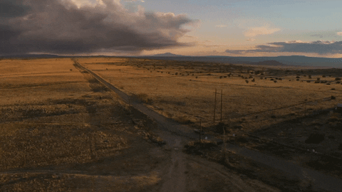 CHAMBERS GIF - Find & Share on GIPHY