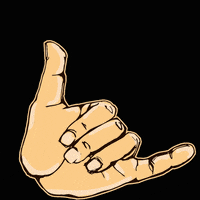 Shaka Sign Gif